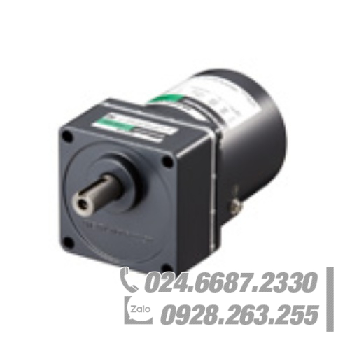 Động cơ Oriental 4IK25CW-30J - TekAC Automation & Control